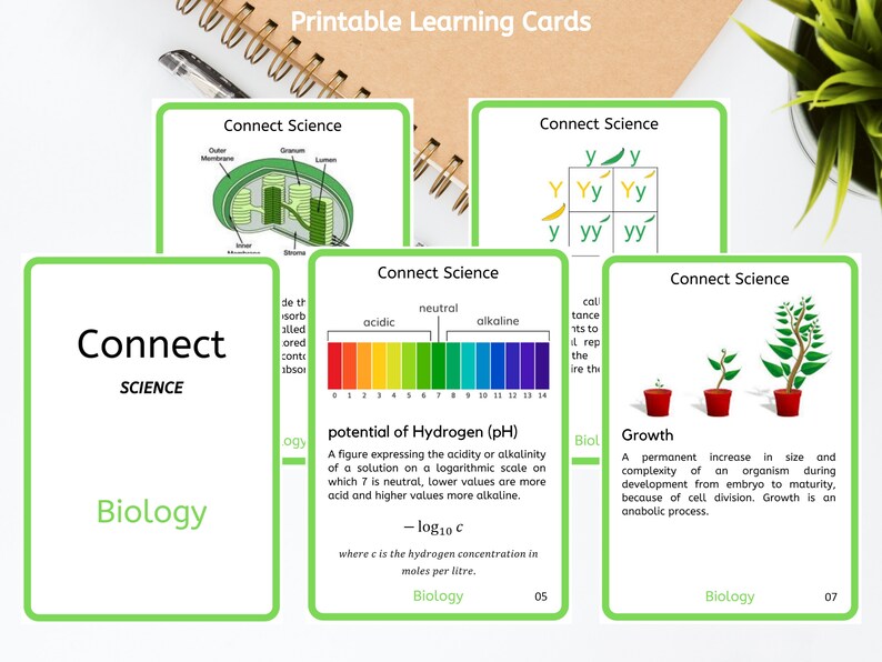 Biology Printable Learning / Revision Cards 59 Card Deck With Cheat ...
