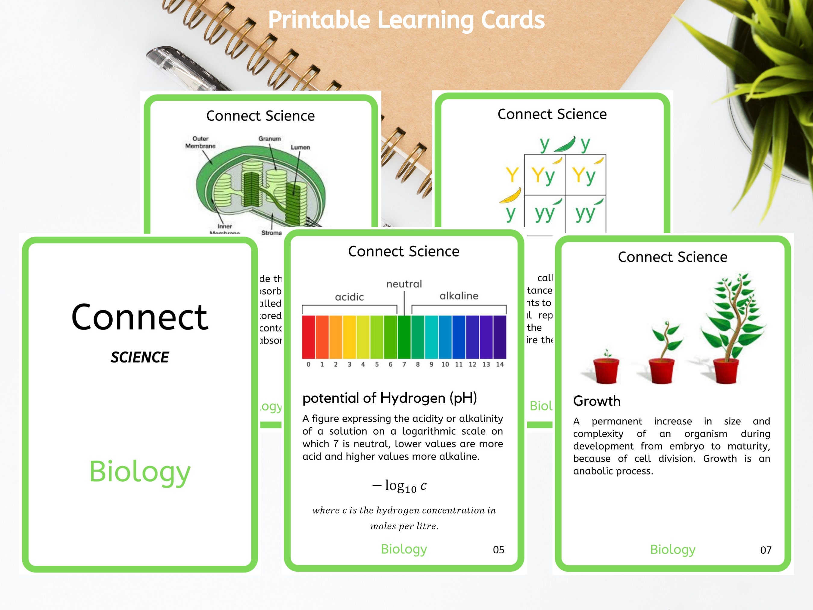 Biology Printable Learning / Revision Cards 59 Card Deck With Cheat ...