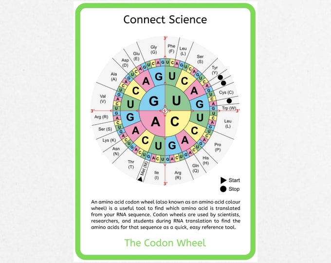 The Codon Wheel Poster A4 Download Science Poster - Etsy