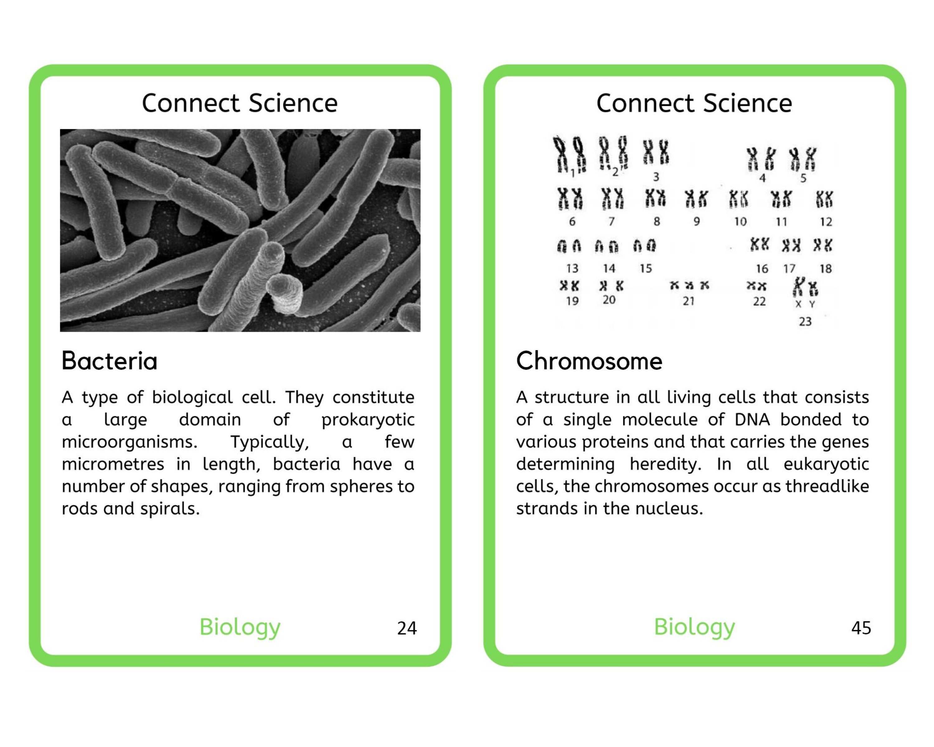 Biology Printable Learning / Revision Cards 59 Card Deck With Cheat ...