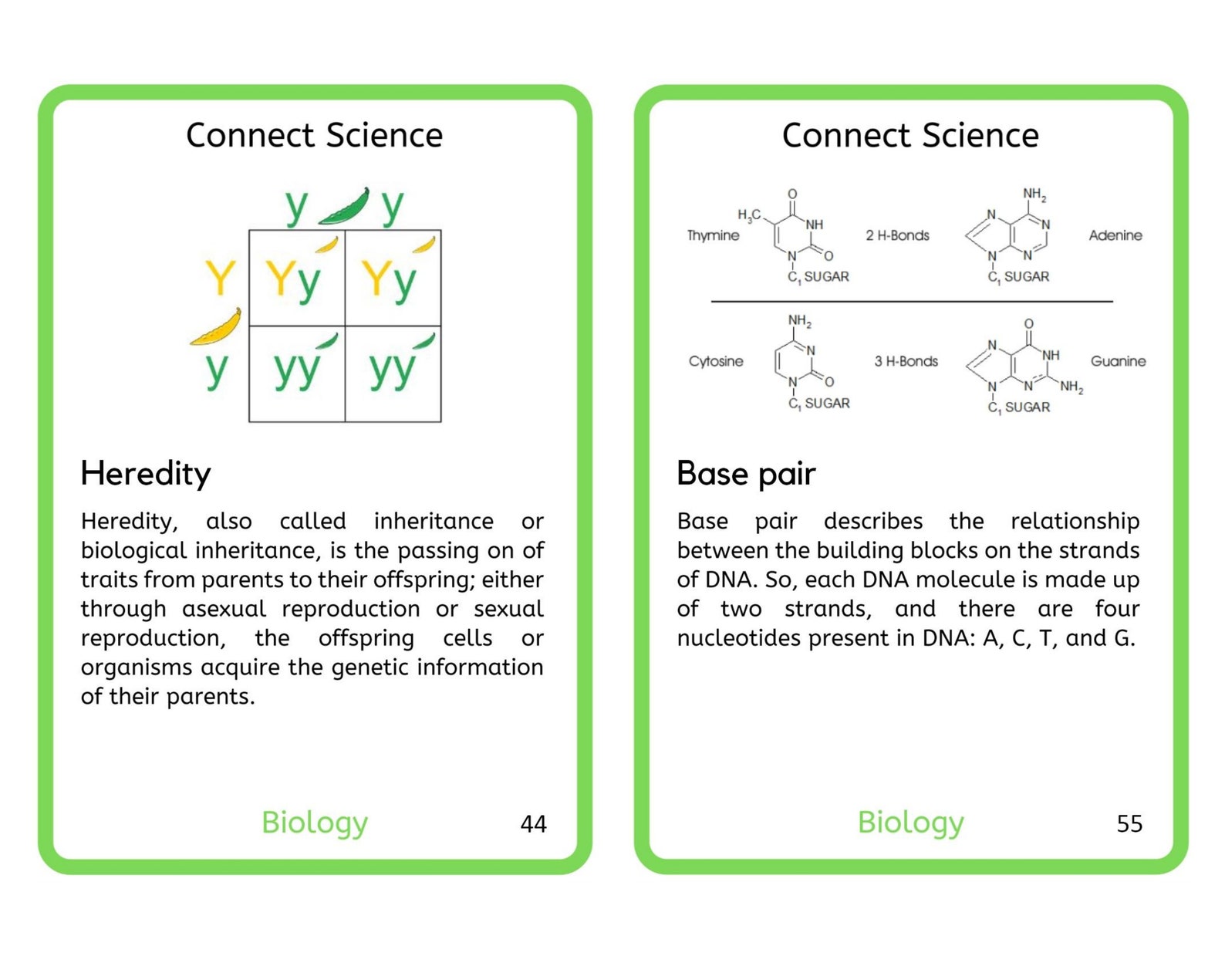 Biology Printable Learning / Revision Cards 59 Card Deck With Cheat ...