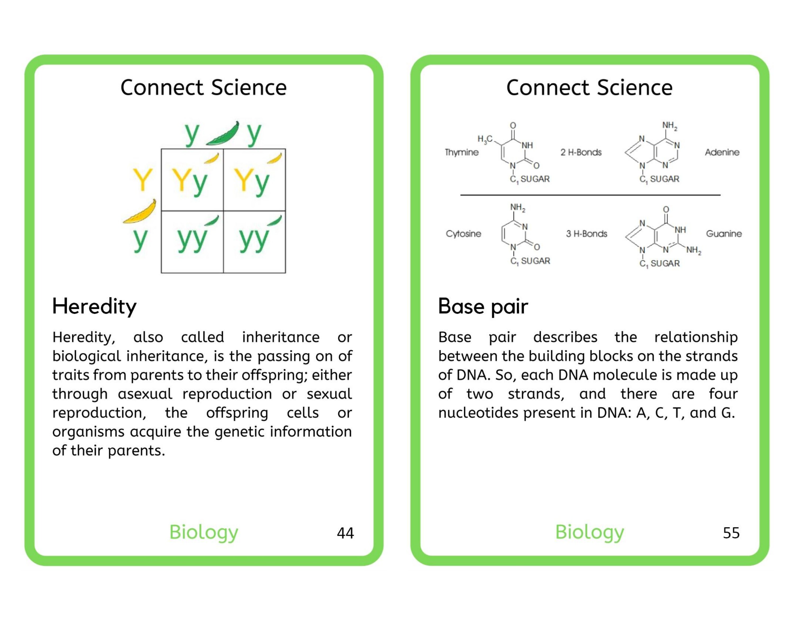 Biology Printable Learning / Revision Cards 59 Card Deck With Cheat ...