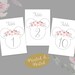 Disney Minnie/mickey Mouse Floral A6 Table Number Cards - Etsy