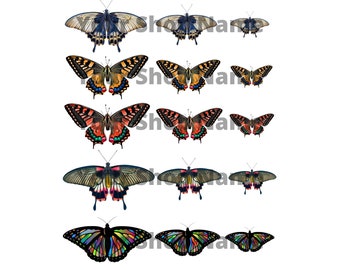 Digital Collage Sheet Butterflies Wings Jpeg-instant Download Butterfly ...