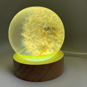 Dandelion Preserved in Sphere With or Without Light Base Paperweight. 2 ...
