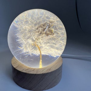 Dandelion Preserved in Sphere - With or Without Light Base ...