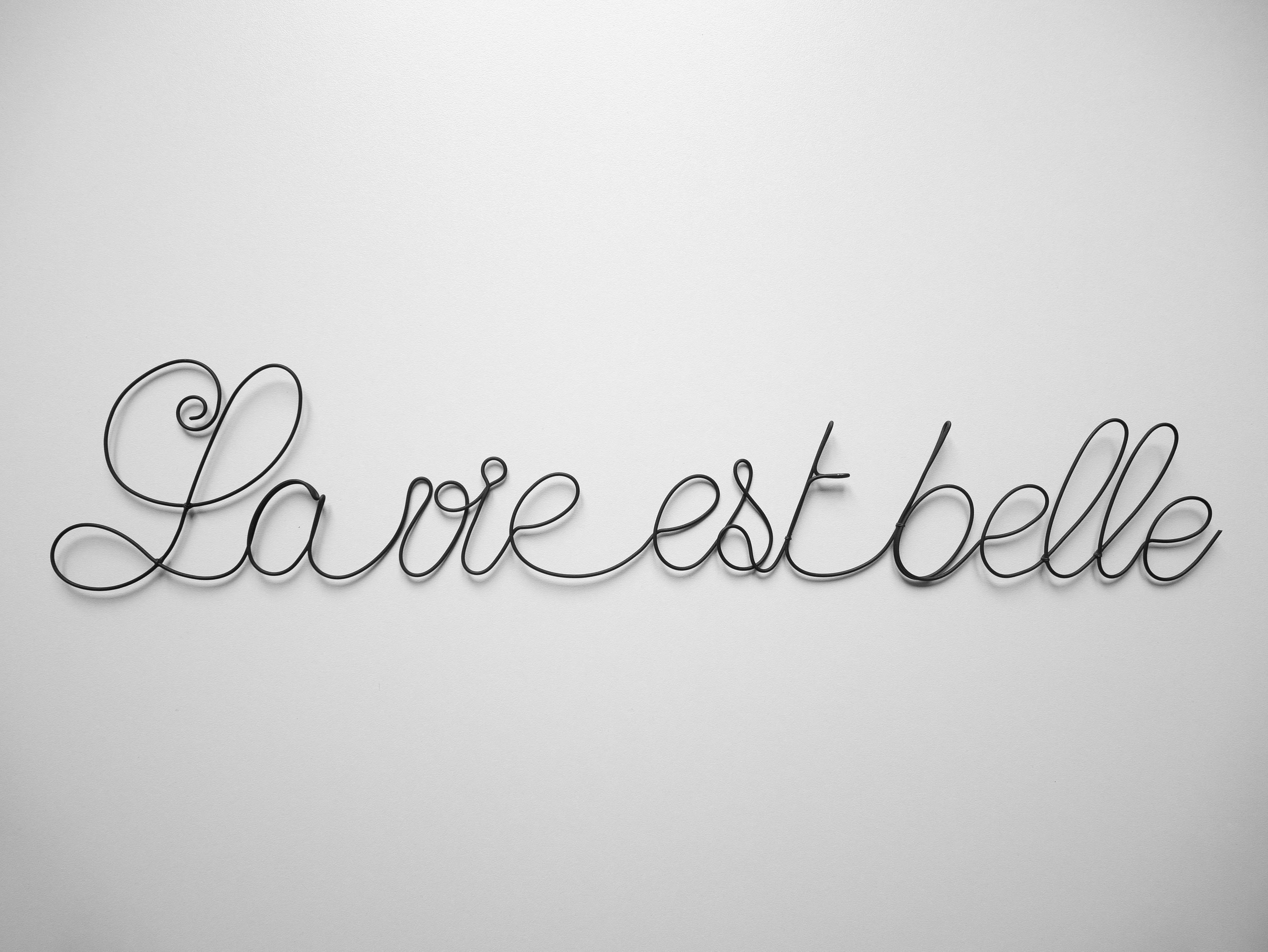 The Word Life In Cursive