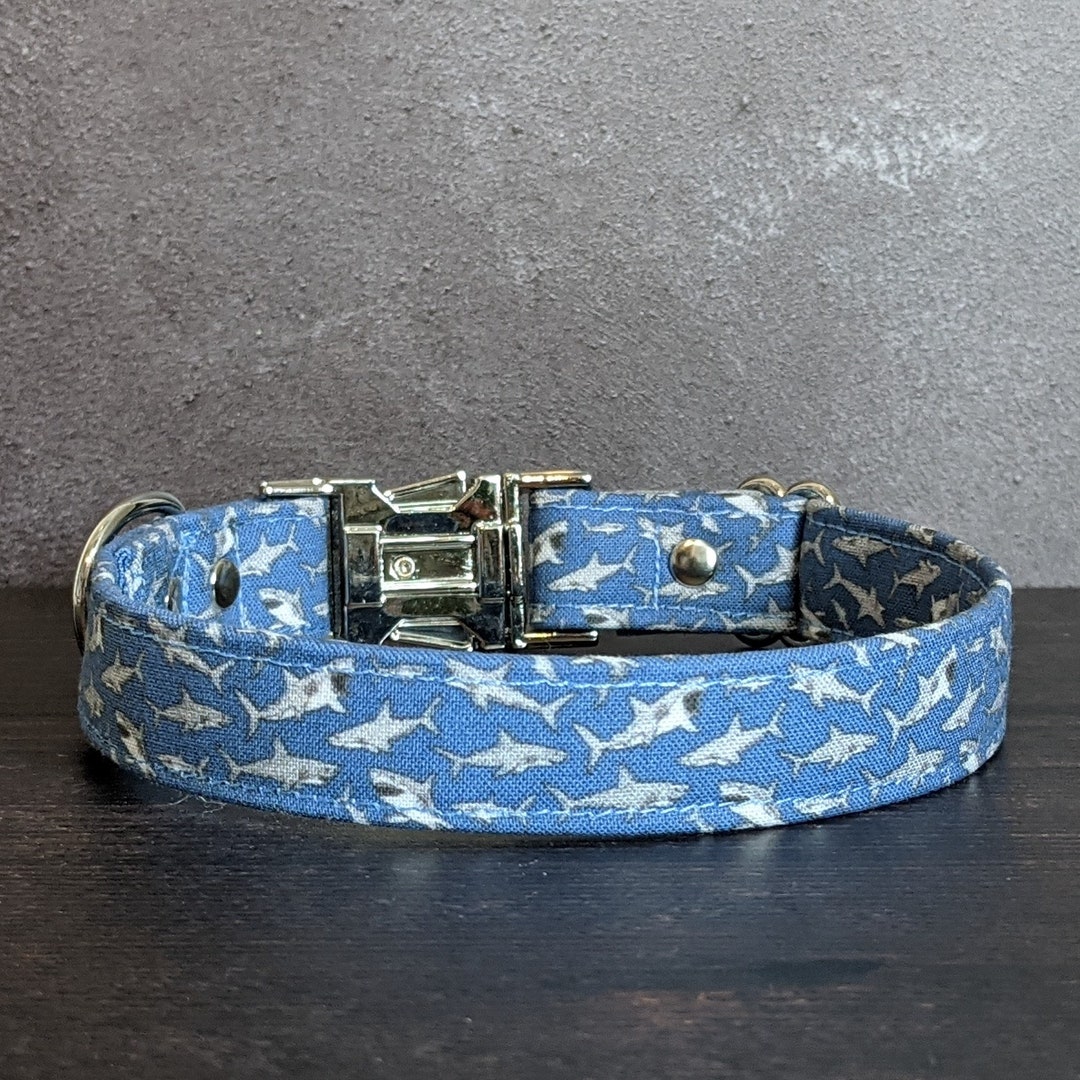 Shark Dog Collar | Adjustable | Ocean Jaws | Fish Dog Collar | Great ...
