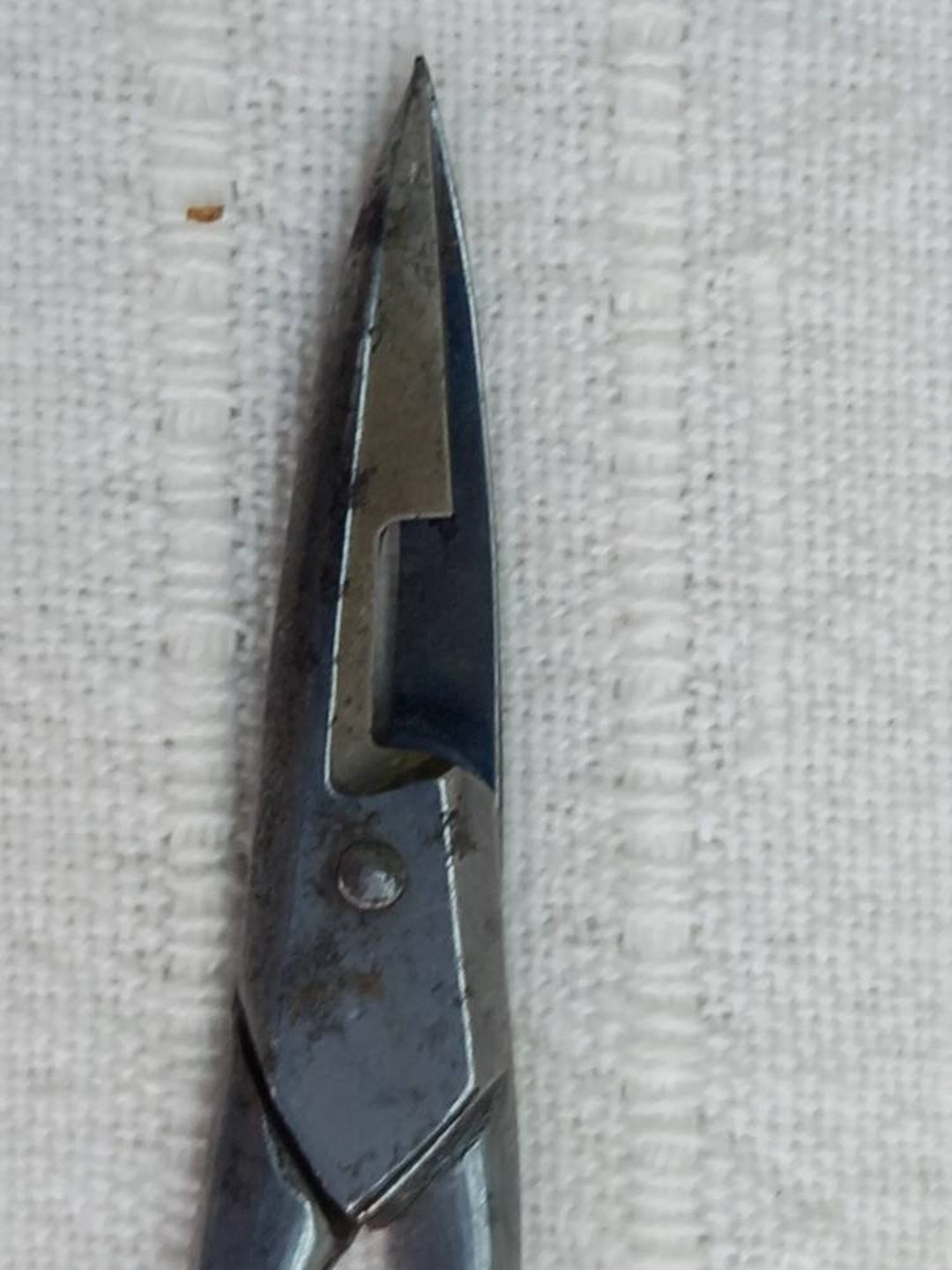 Vintage antique Buttonhole Scissors. Made by Sheffield - Etsy Australia