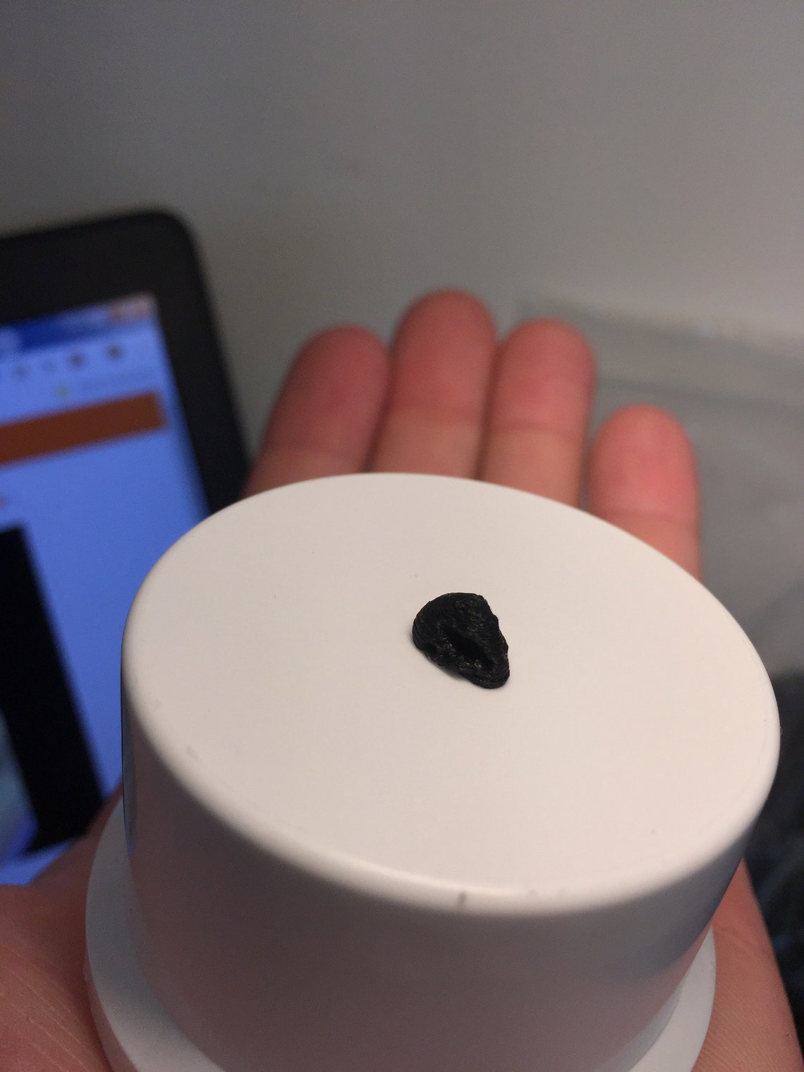 3D Printed Alien Skulls - Etsy