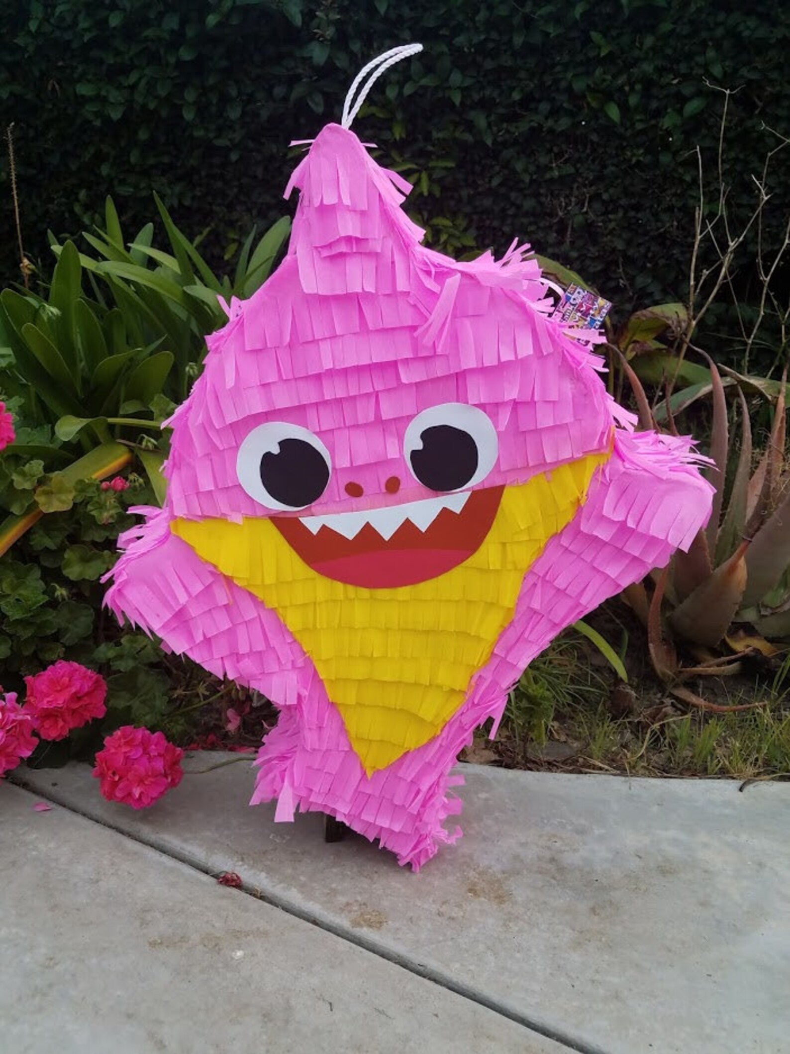 Baby Shark Pinata - Etsy