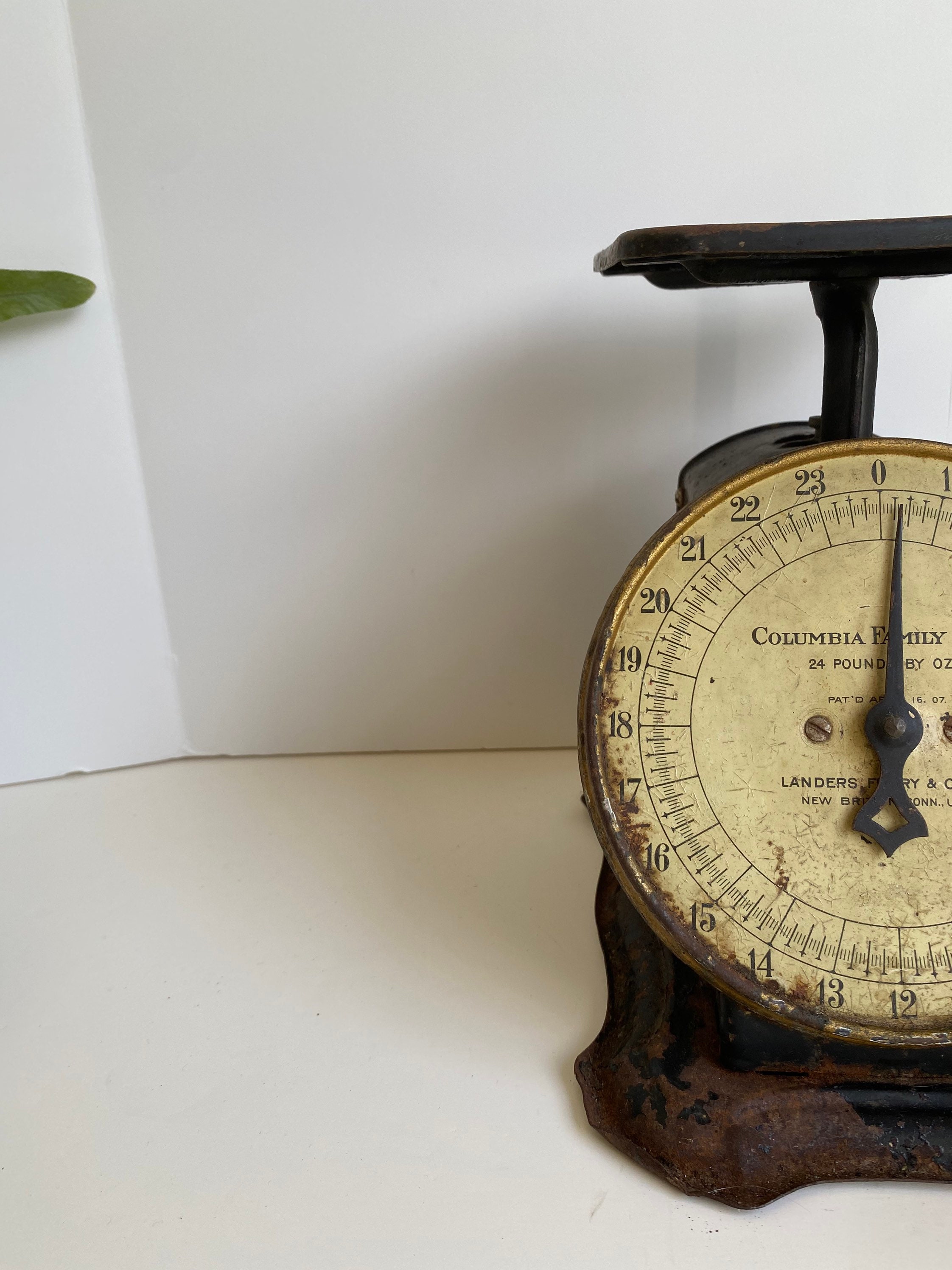 Vintage Scale Columbia Family Scale, 24 Pounds Antique Columbia Family ...