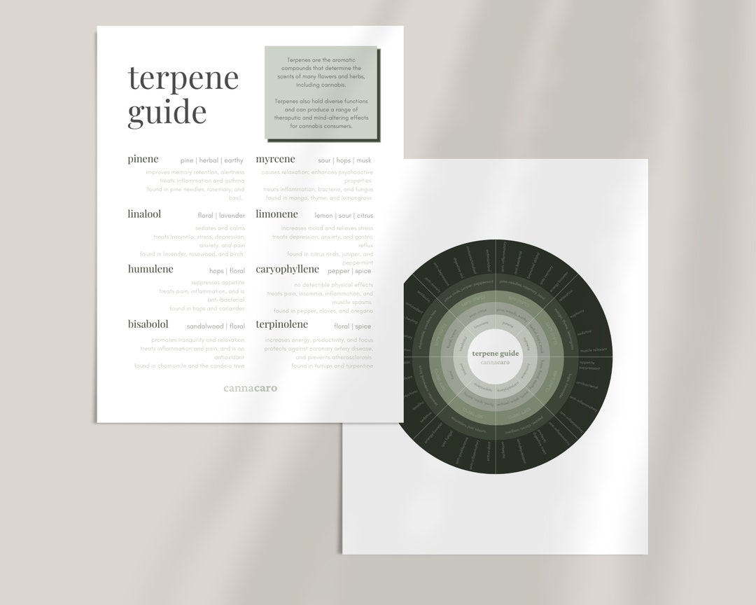 Terpene Guide || Digital Journal Add-on || Printable - Etsy