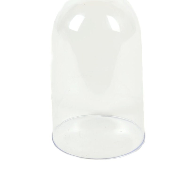 Cake Dome Decorations - Etsy
