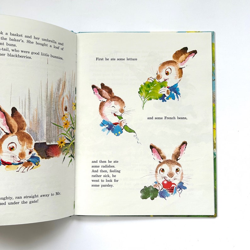 The Tale of Peter Rabbit by Beatrix Potter Illustrated by Rod Ruth - Etsy