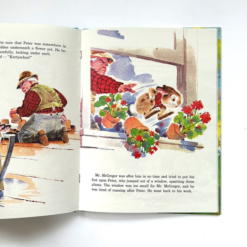 The Tale of Peter Rabbit by Beatrix Potter Illustrated by Rod Ruth - Etsy