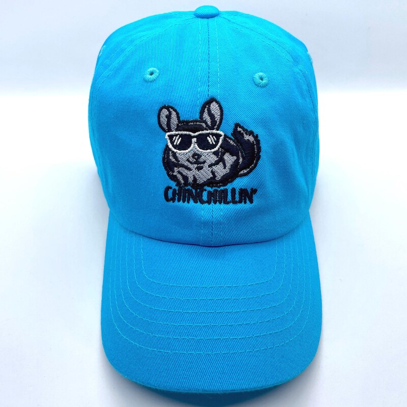 Chinchilla Clothes - Etsy