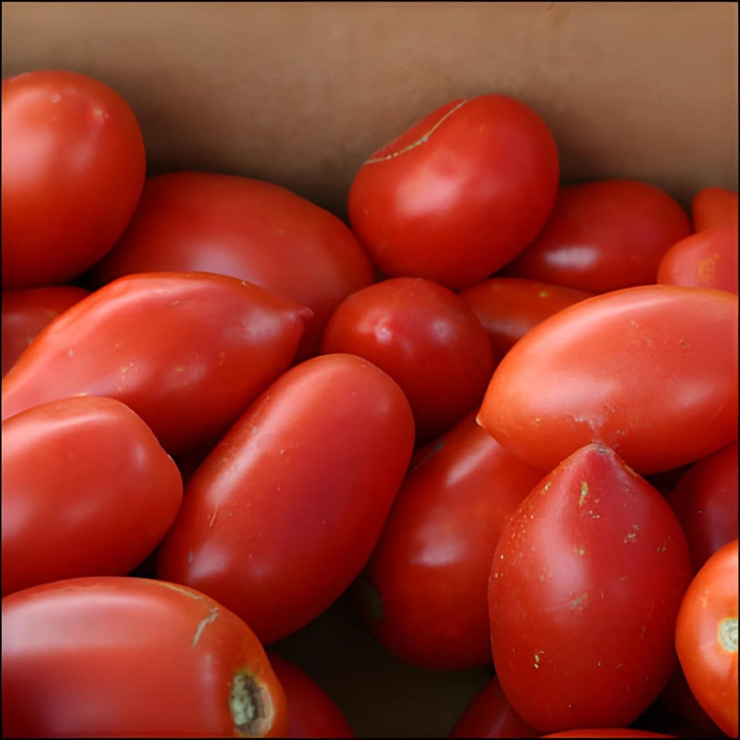 Organic Italian Roma Tomato Seeds - Etsy