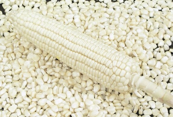 Truckers White Corn