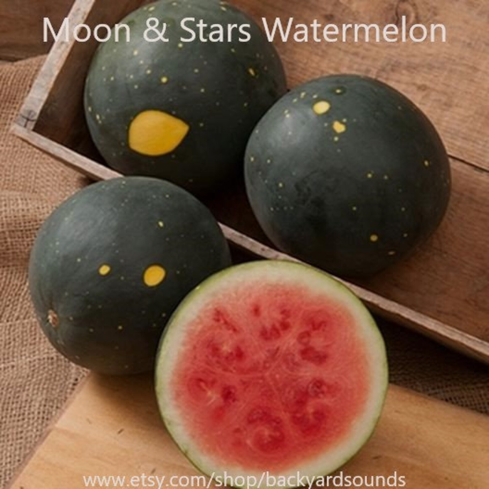 Moon and Stars Watermelon seed | Etsy