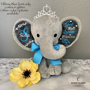 Get Well Soon Princess Keepsake Gift, Hospital Stay Get Well Gift, Gift ...