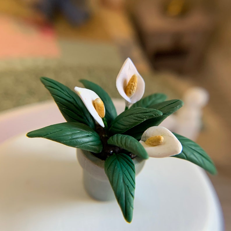Miniature Peace Lily Miniature Potted Plant Miniature | Etsy
