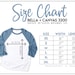 Custom Raglan Shirt, Custom Raglan, Custom Baseball Tee, Personalized ...