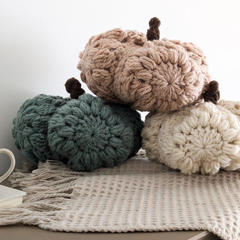 Chunky Yarn Pumpkin - Etsy