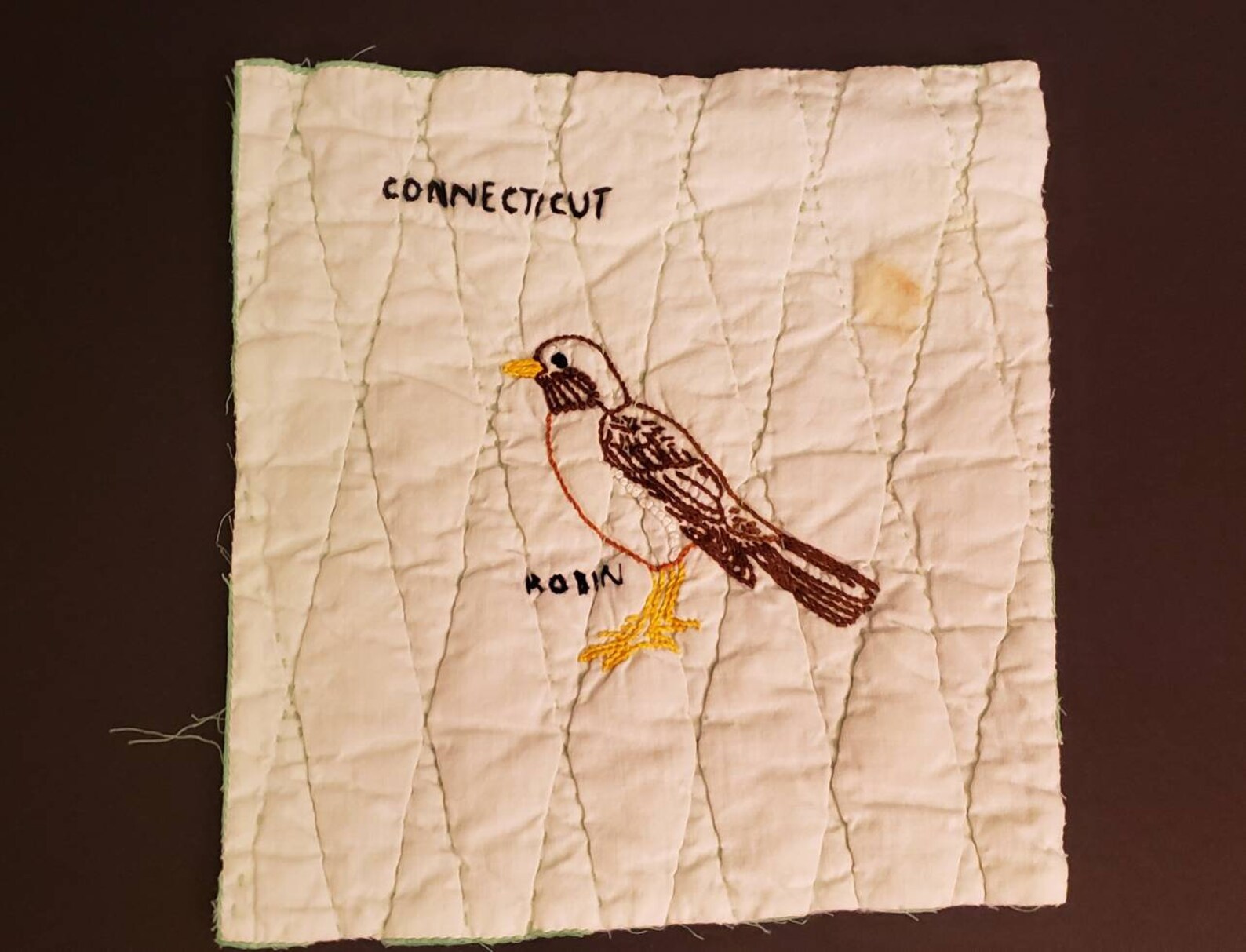 Vintage Embroidered State Bird Quilt Square Choose Alabama | Etsy