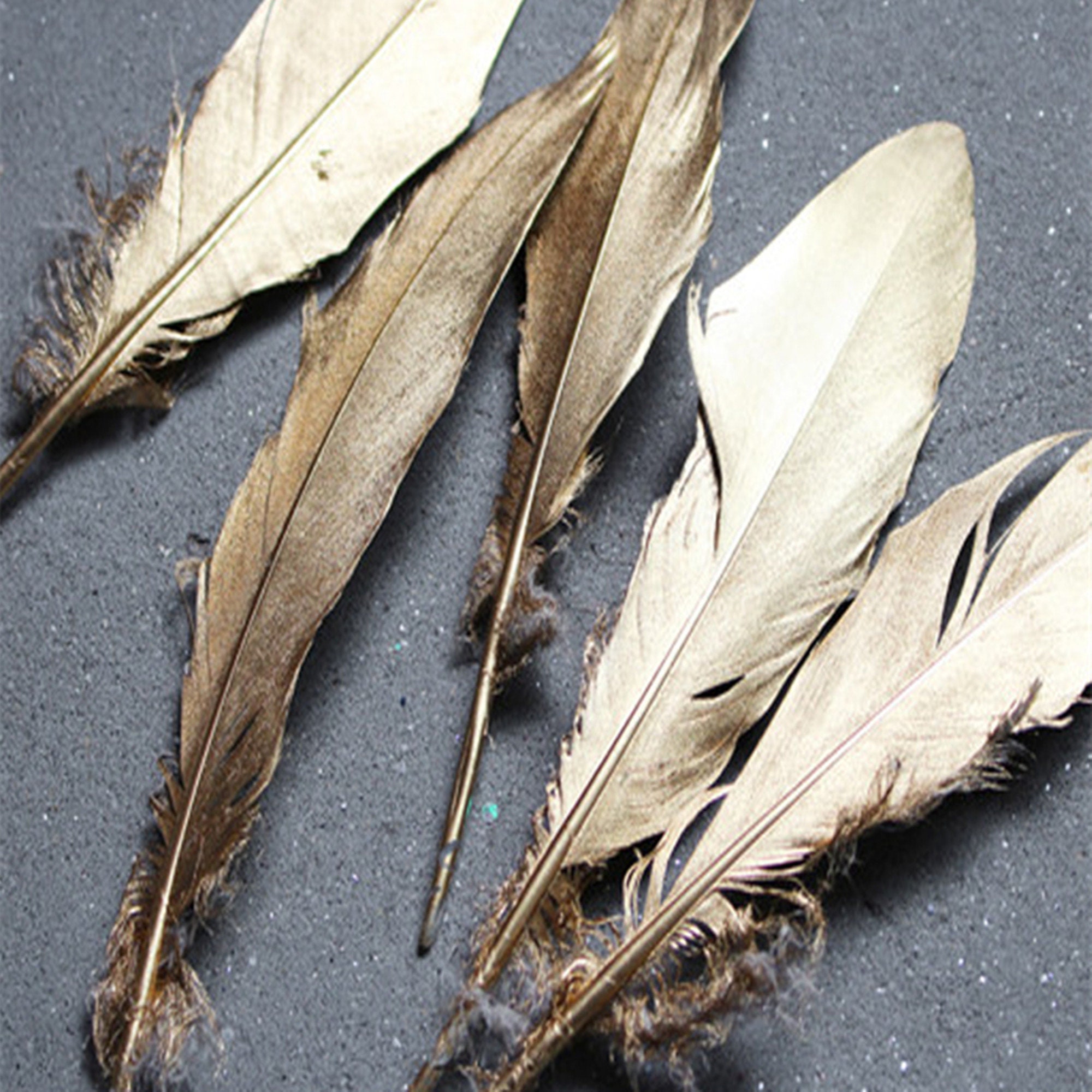 3 Pieces Gold Feather Appliquedecorative Patches for - Etsy