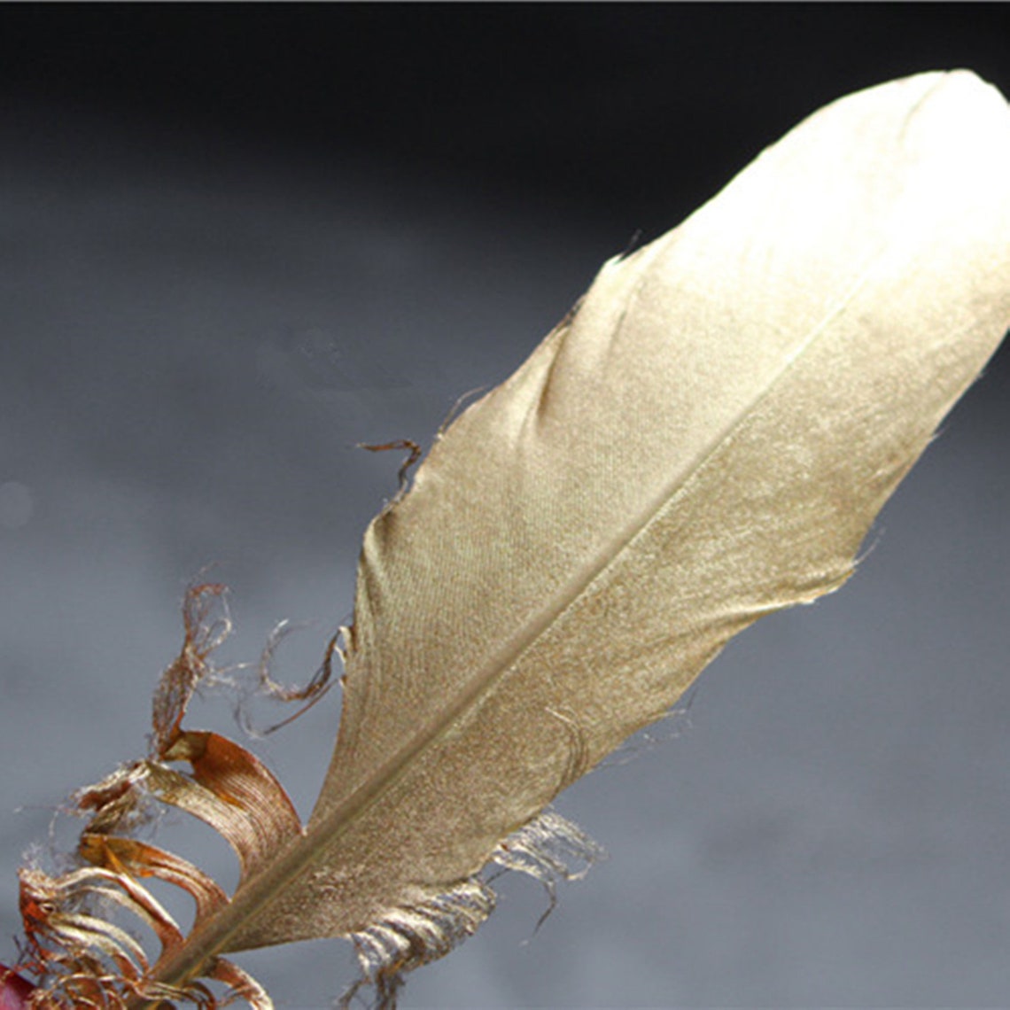 3 Pieces Gold Feather Appliquedecorative Patches for - Etsy