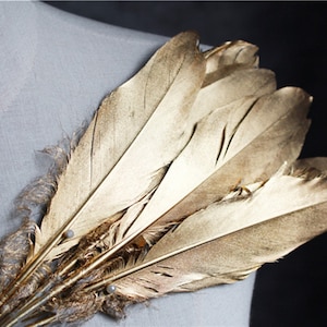 3 Pieces Gold Feather Applique,decorative Patches for Craft,party Decor ...