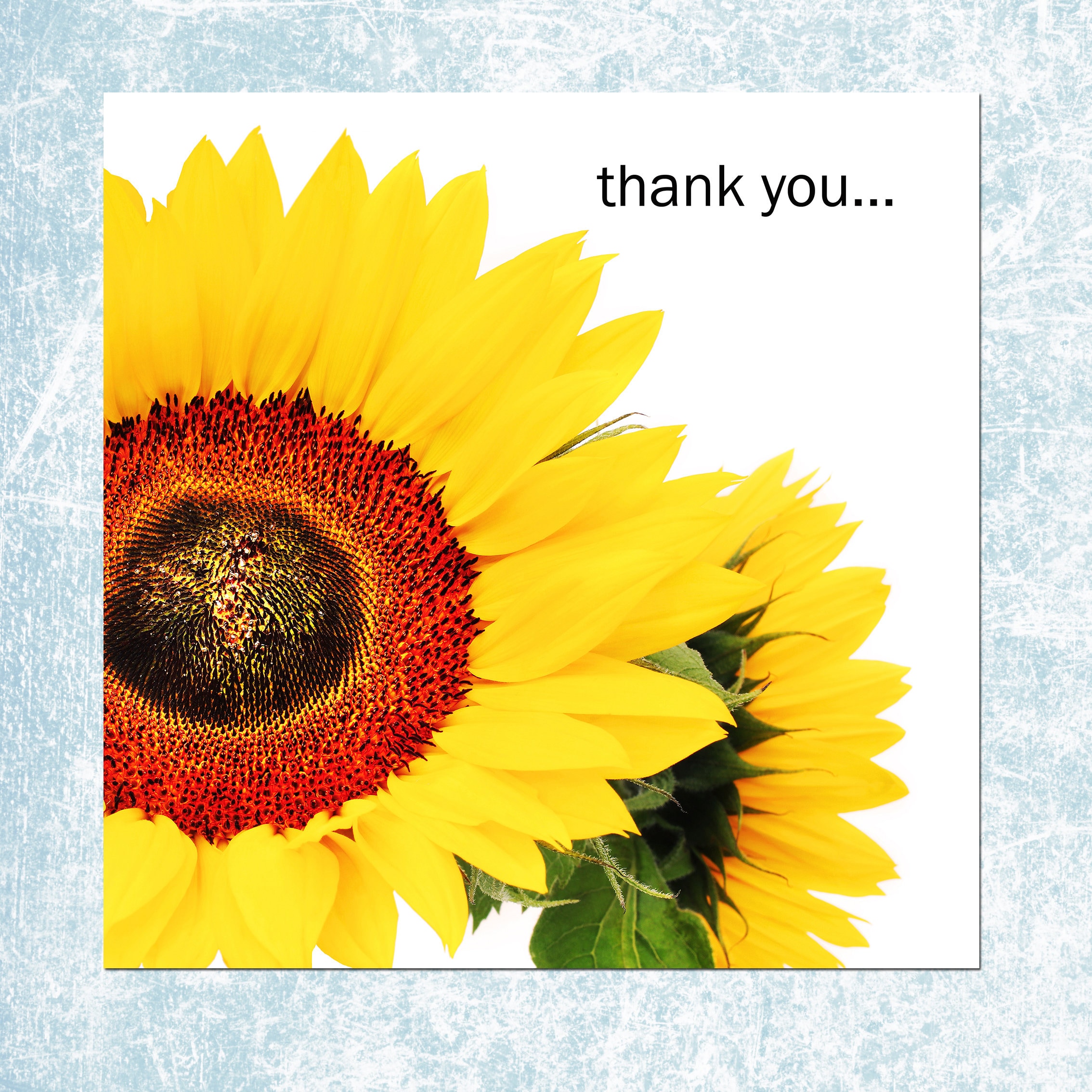 Thank You Note Card Sunflowers Thank You Sunflower Close up - Etsy