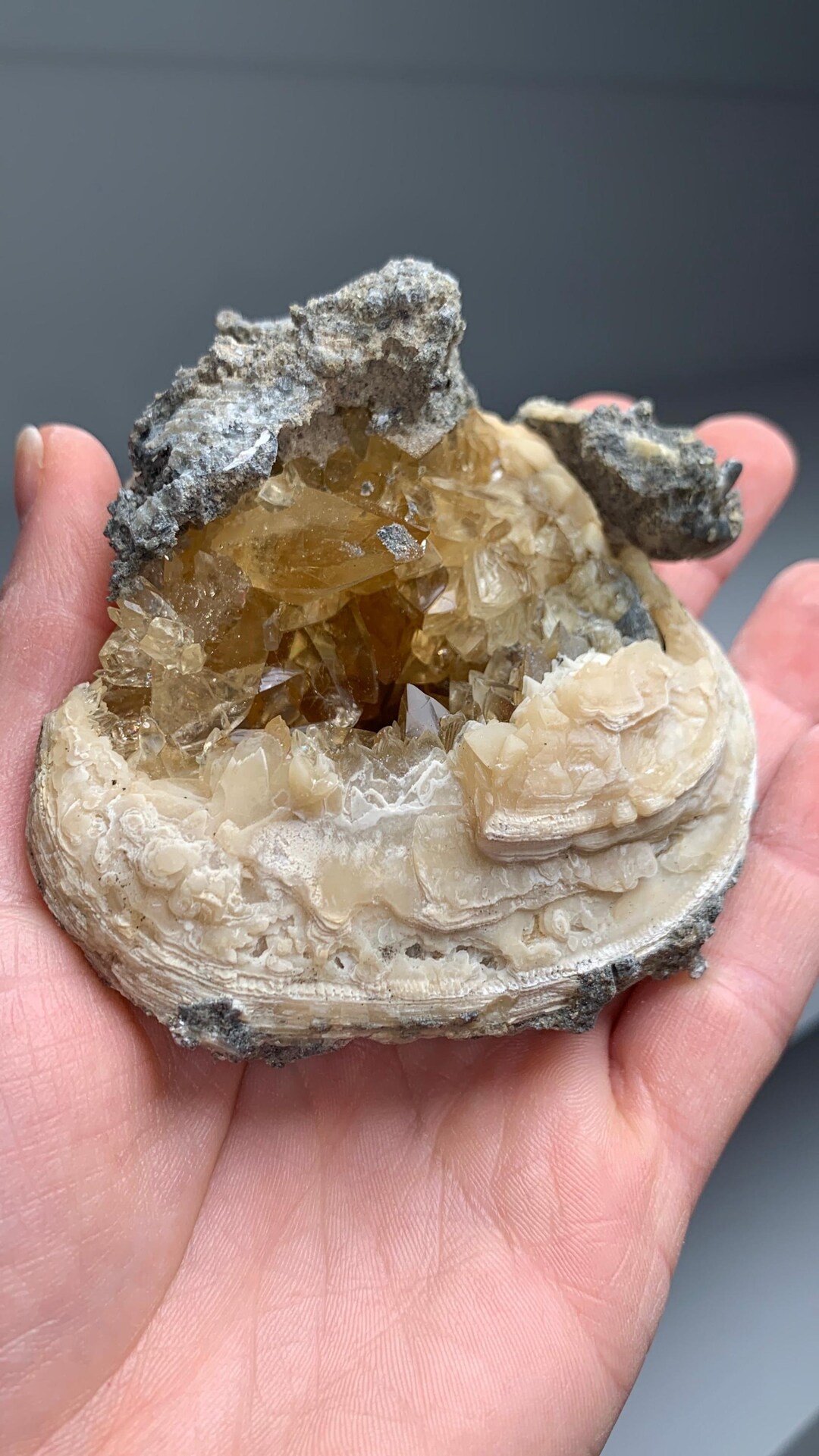 Clam Fossil With Gemmy Golden Calcite Rocks Pit, Florida - Etsy
