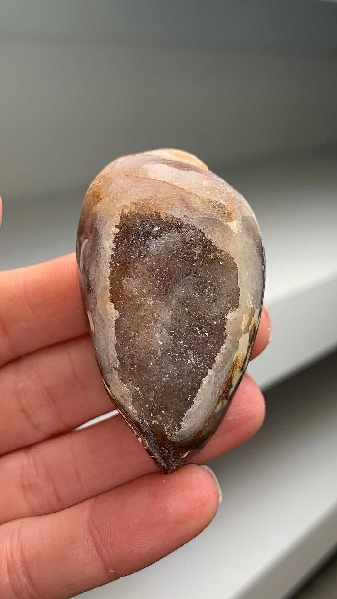 Fossilized Spiralite Quartz Shell !! - Etsy