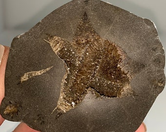 DualityHandCraft - Etsy