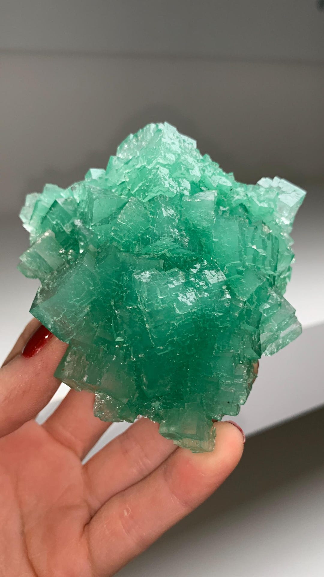 Cubic Green Halite - Etsy