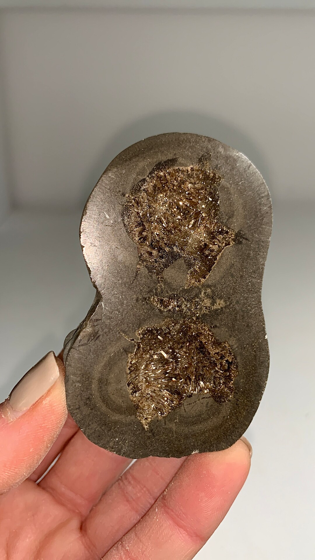 Stunning Septerian Barite Geode - Etsy