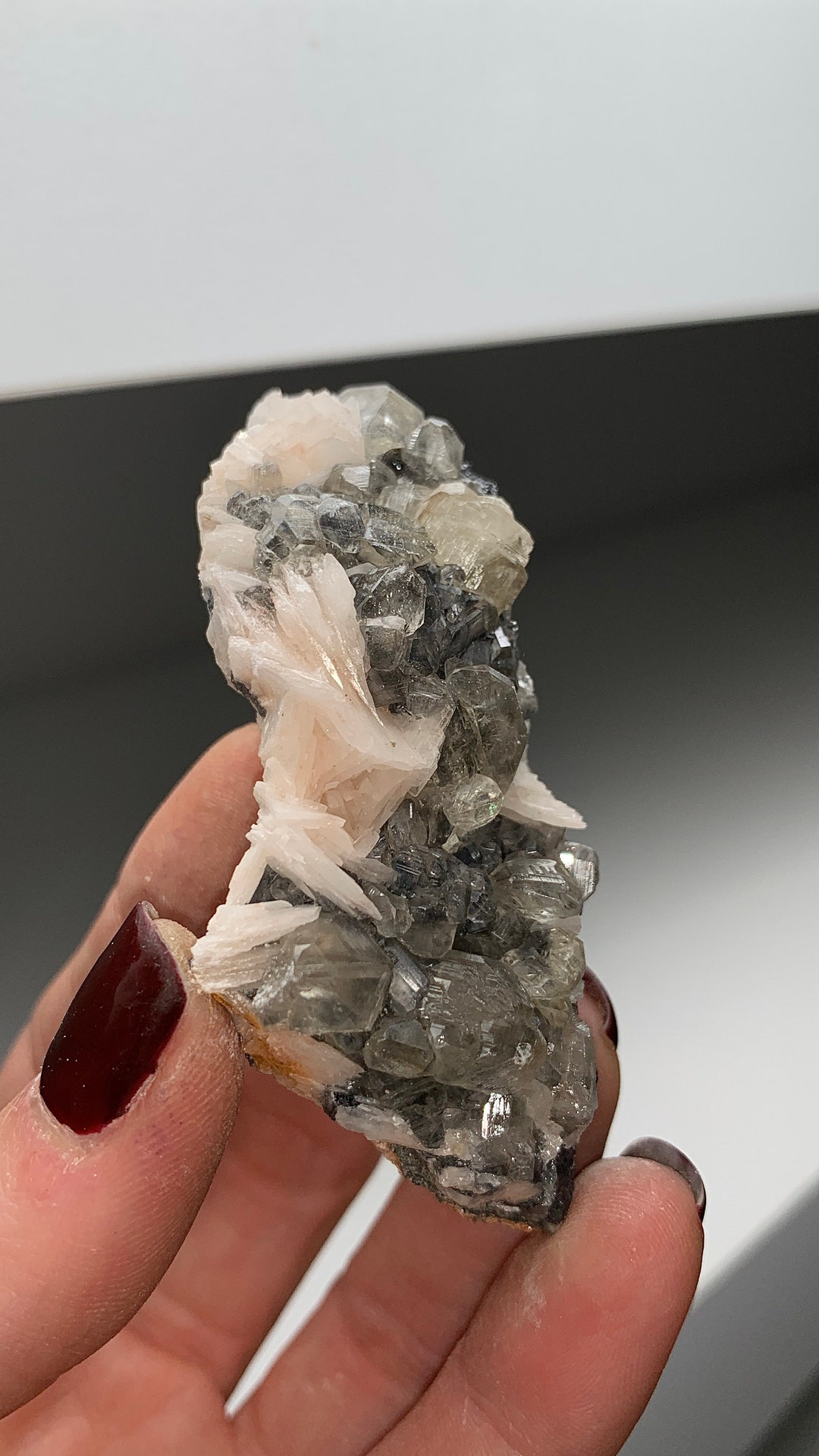 Pink Bladed Barite Flower With Cerussite and Galena - Etsy