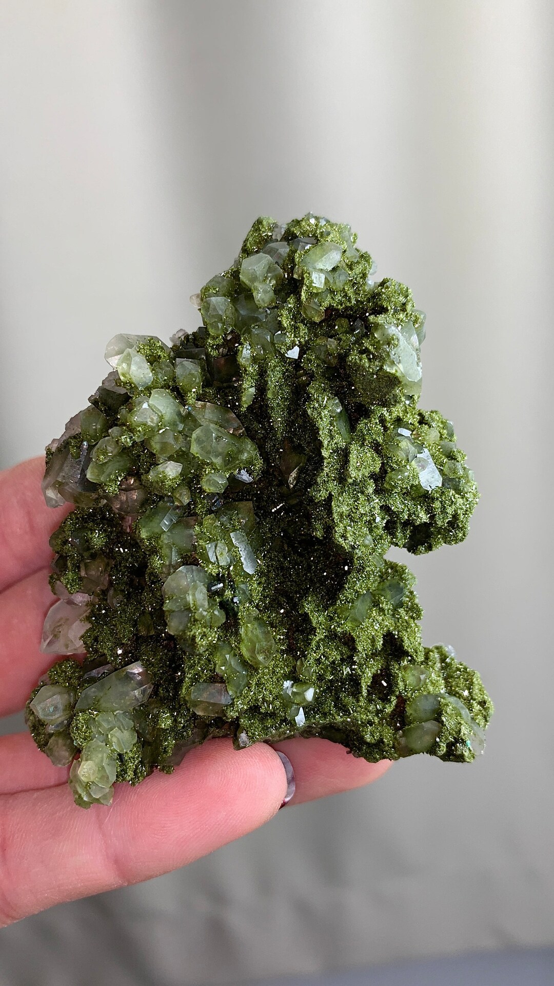 Forest Epidote With Quartz - Etsy