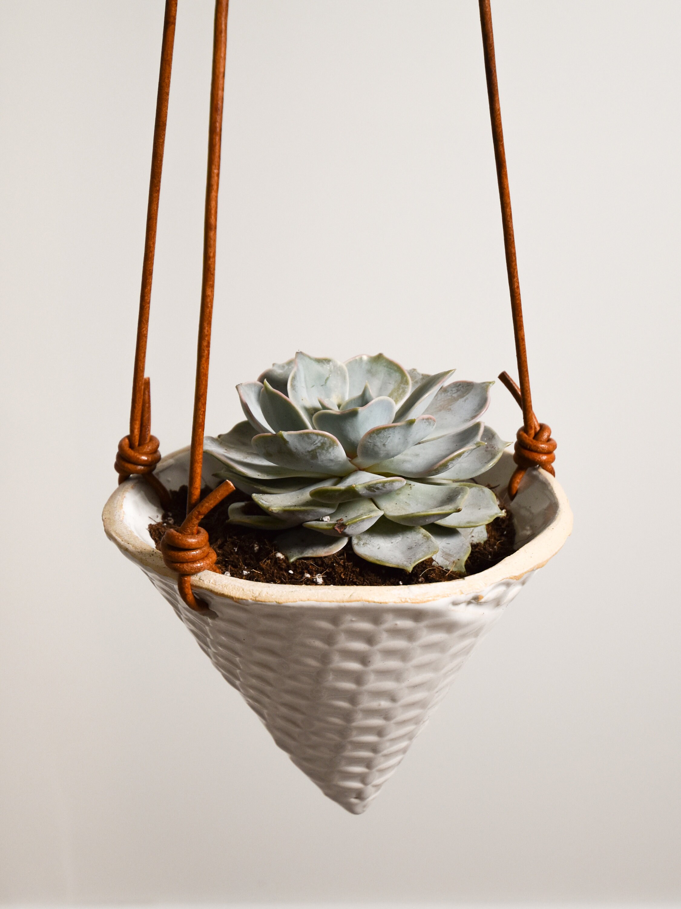 Ceramic Cone Plant Hanging Pot With Leather Cord on Natural - Etsy UK