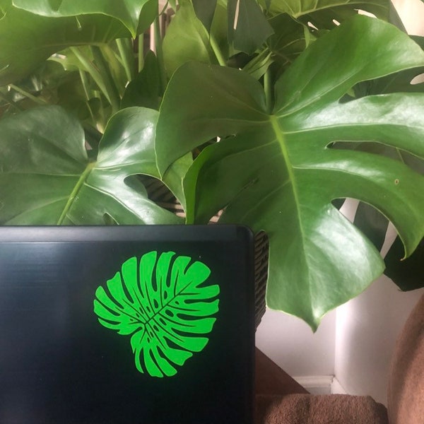 Monstera Vinyl Window Decal - Etsy