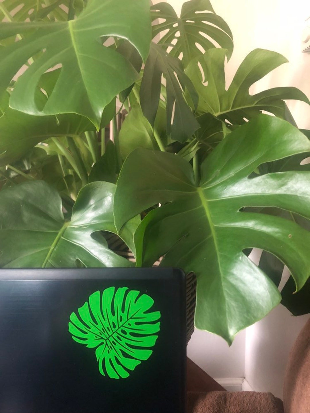 Plant Leaf Vinyl Decal Sticker for Car Window or Laptop, Plant Lady ...