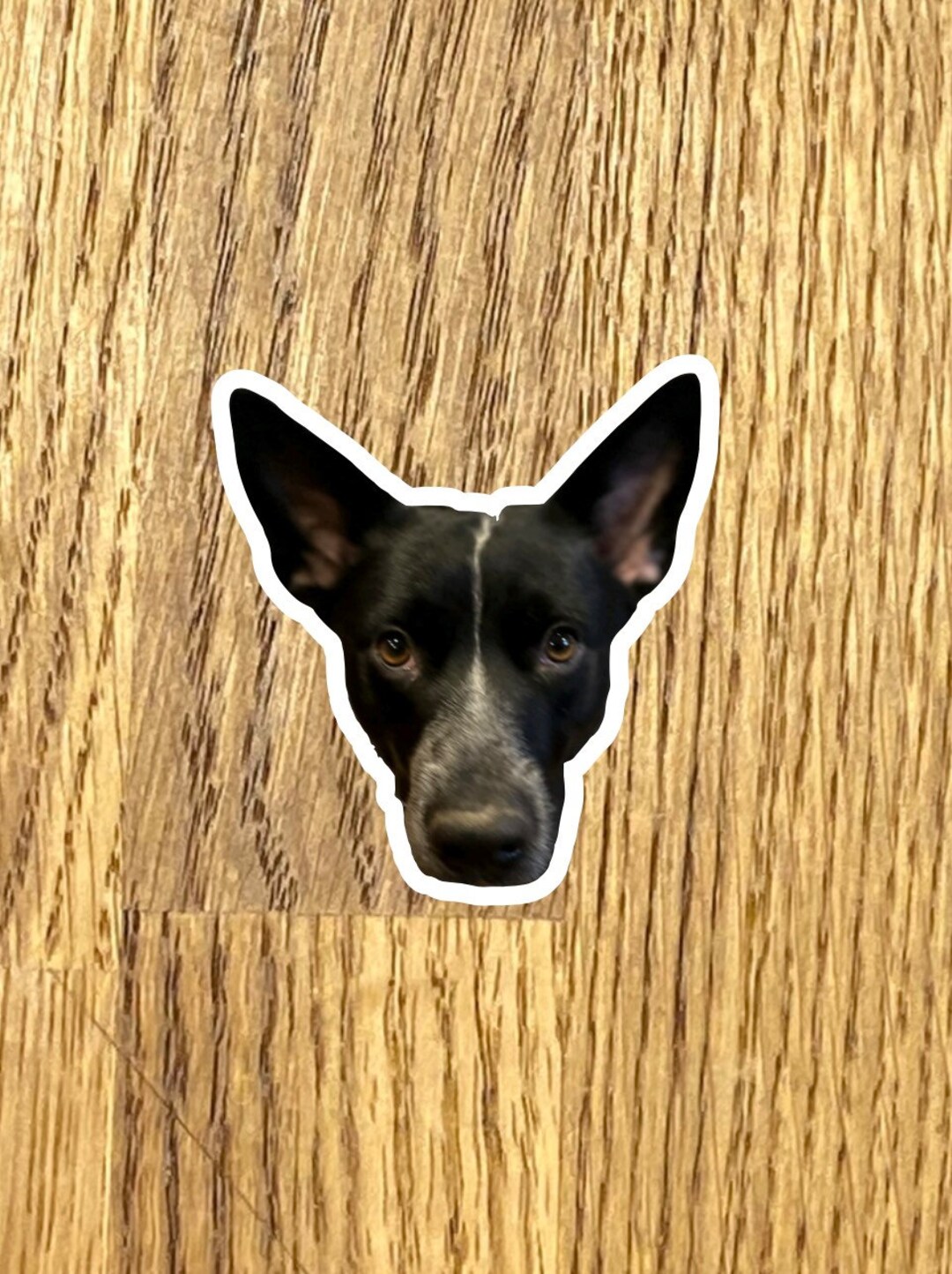 Your Custom Dog Sticker, 2.5” Decal Sticker for Laptop, Water Bottle ...