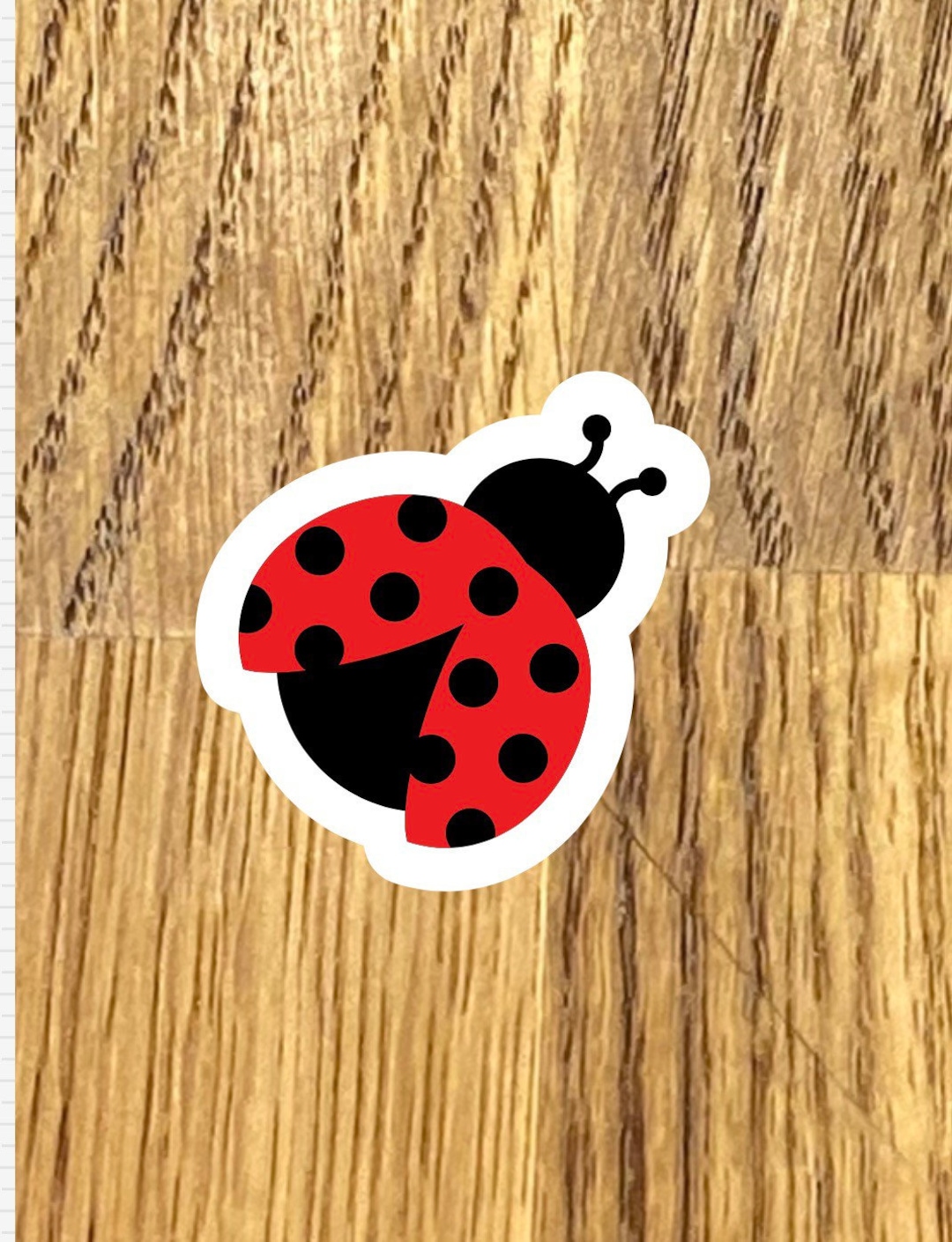 Lady Bug Sticker 2.5 Sticker Decal, Sticker for Laptop or Water Bottle ...