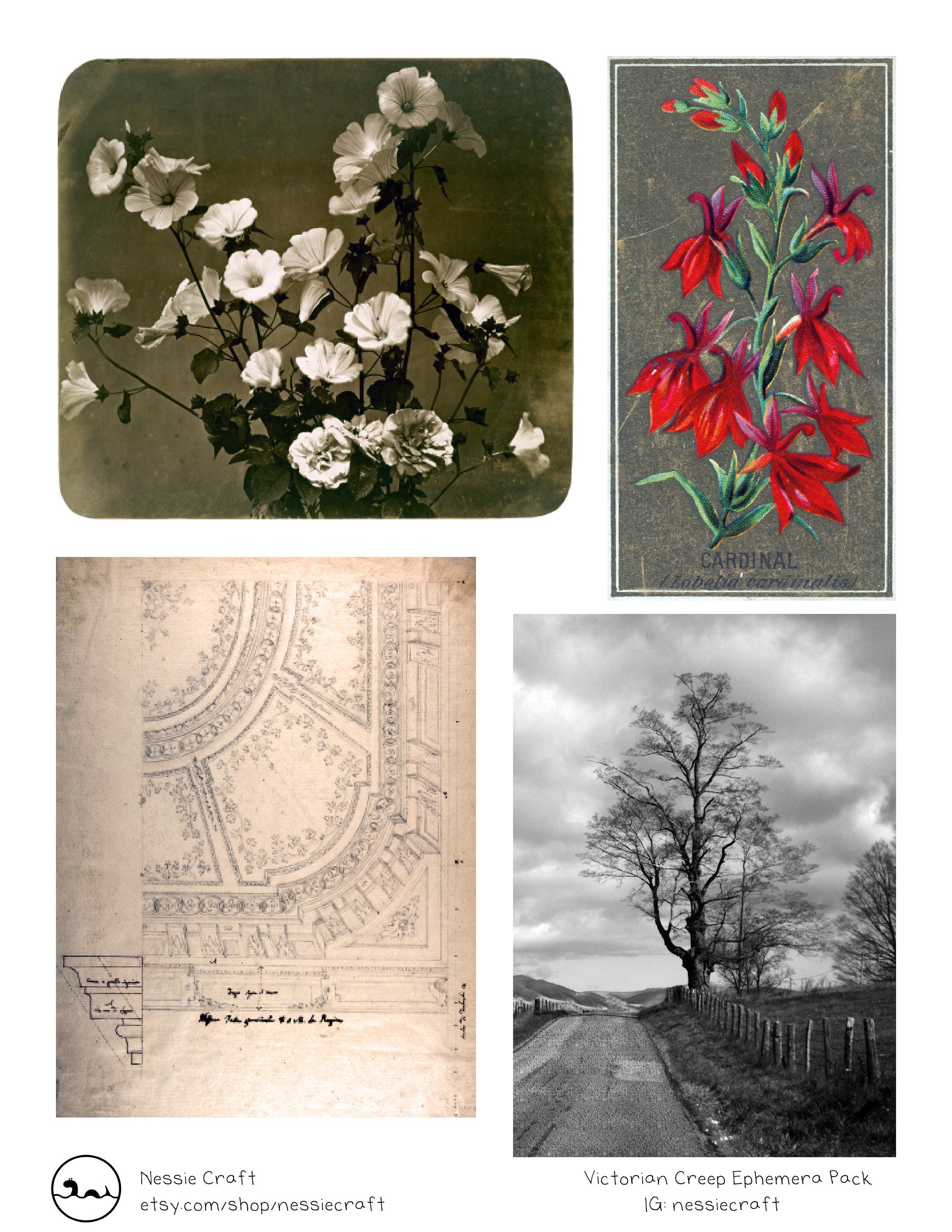 Victorian Creep Ephemera Pack - Etsy