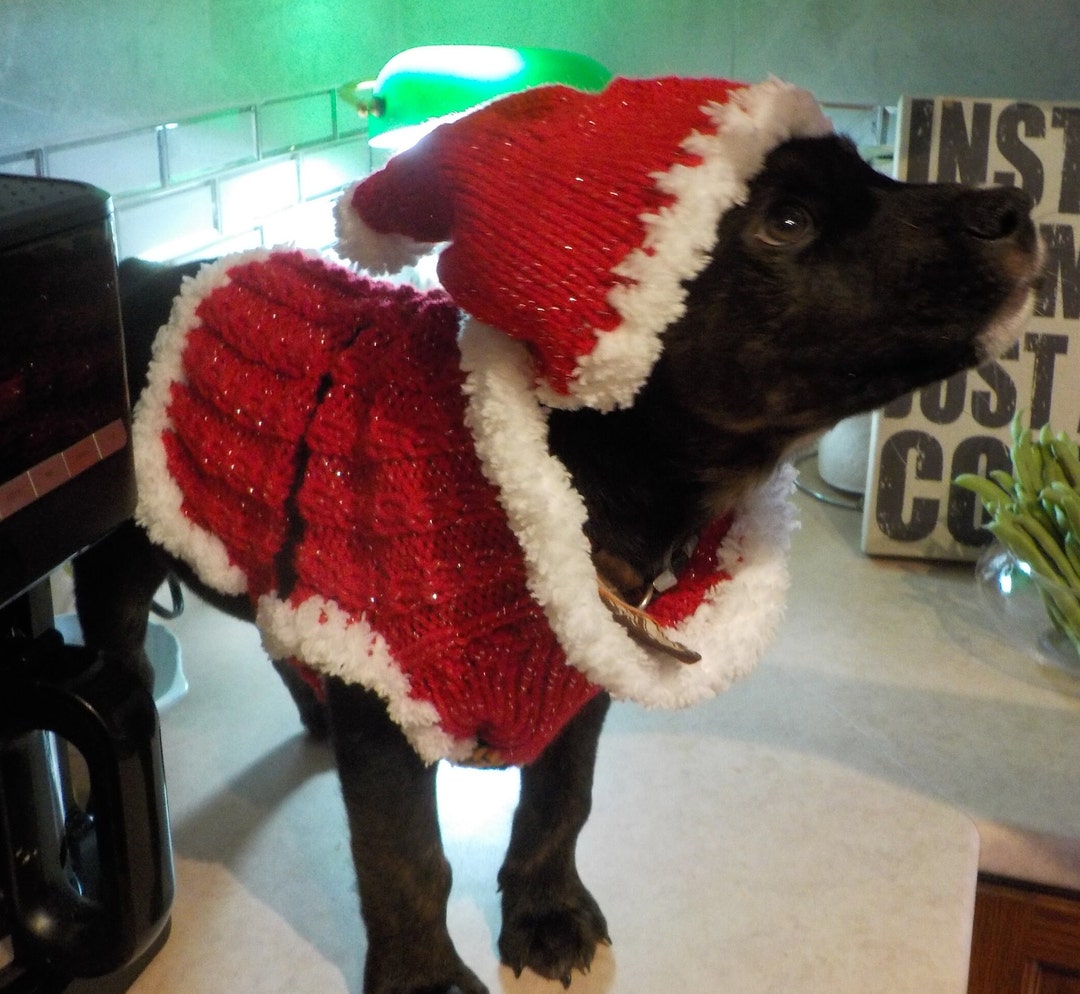 Doggie Santa Outfit, Santa Costume for Small Dog, Shitzou Santa Costume ...