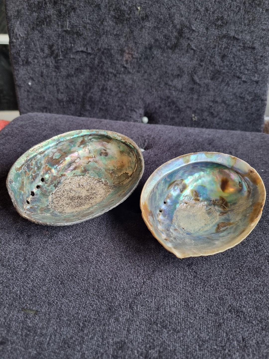 Lovely Pair of Natural Abalone Paua Shells Ideal for Smudging ...