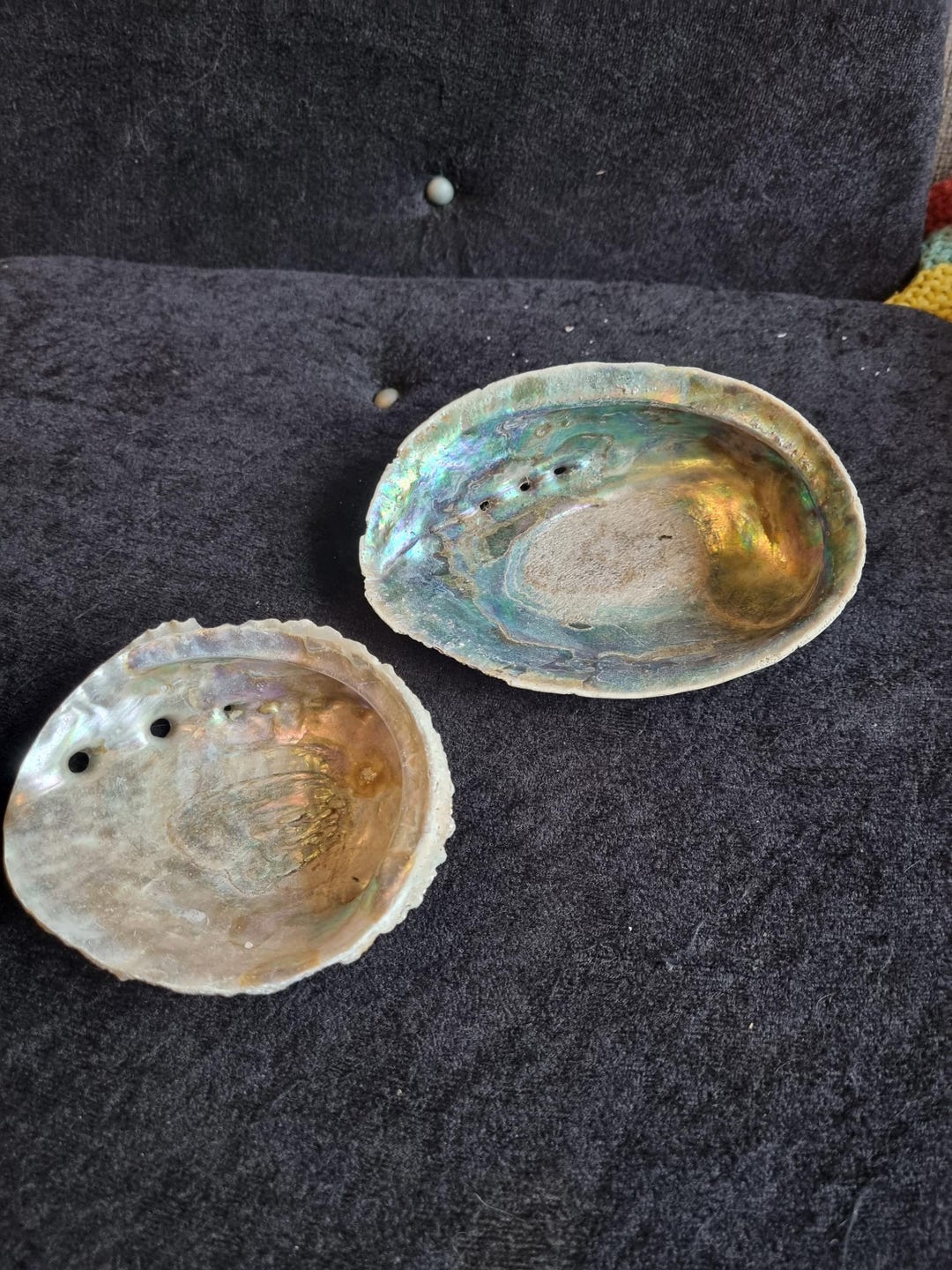 Lovely Graduated Pair of Natural Abalone Paua Shells Ideal for Smudging ...