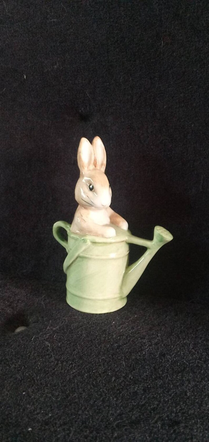 Royal Doulton Beswick Peter in the Watering Can Beatrix Potter - Etsy